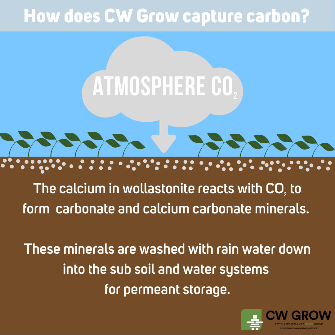How does CW Grow capture carbon? - CW Grow